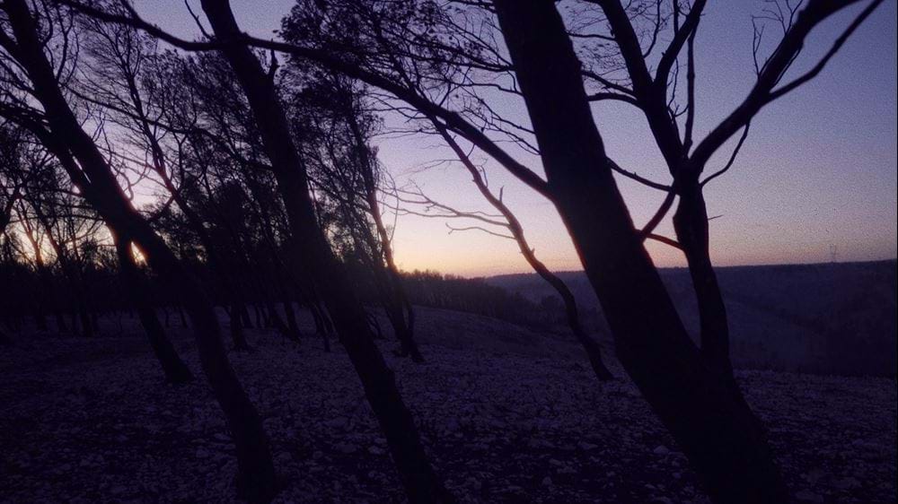 Silent Motion by Atem Film | Locke