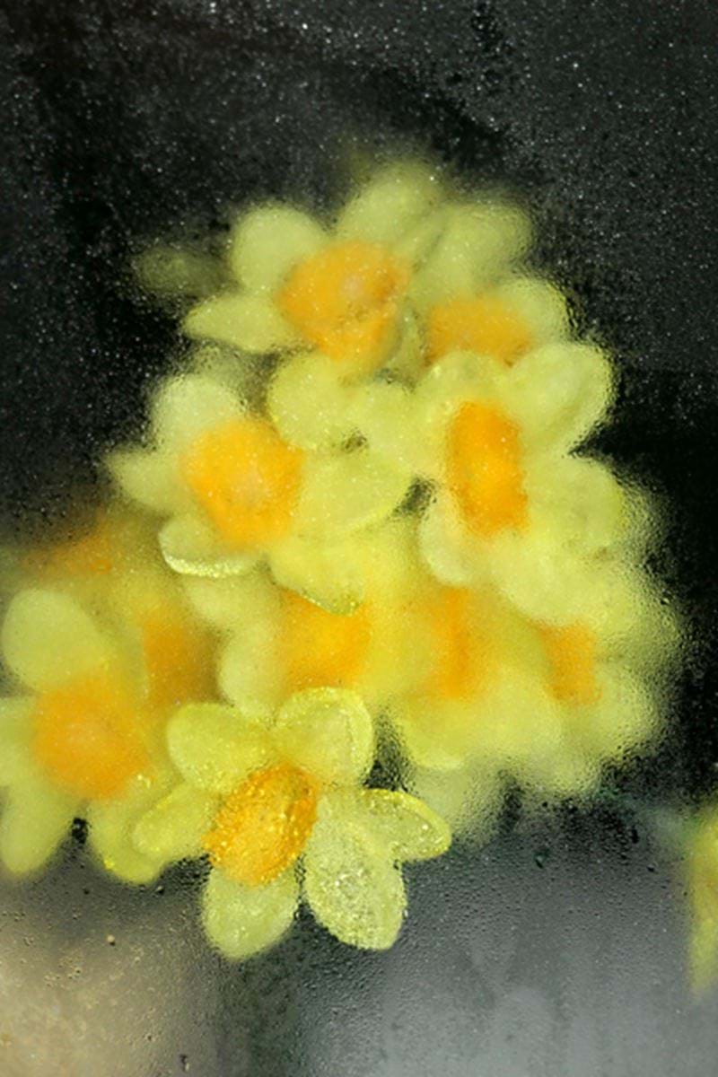 Frieze London Home by Darklight Art | Locke