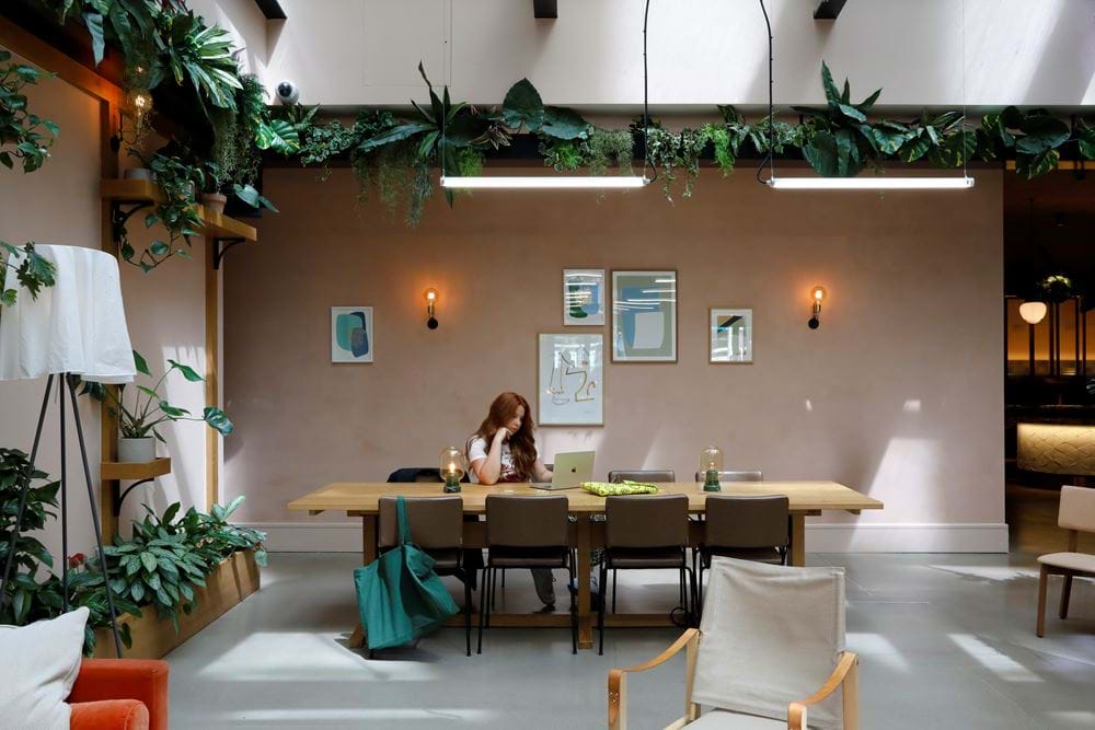 Introducing: Hello Charlie | Locke